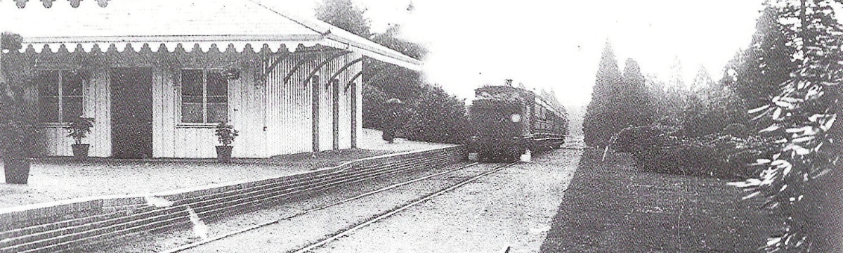 London Necropolis Railway | South Western Railway
