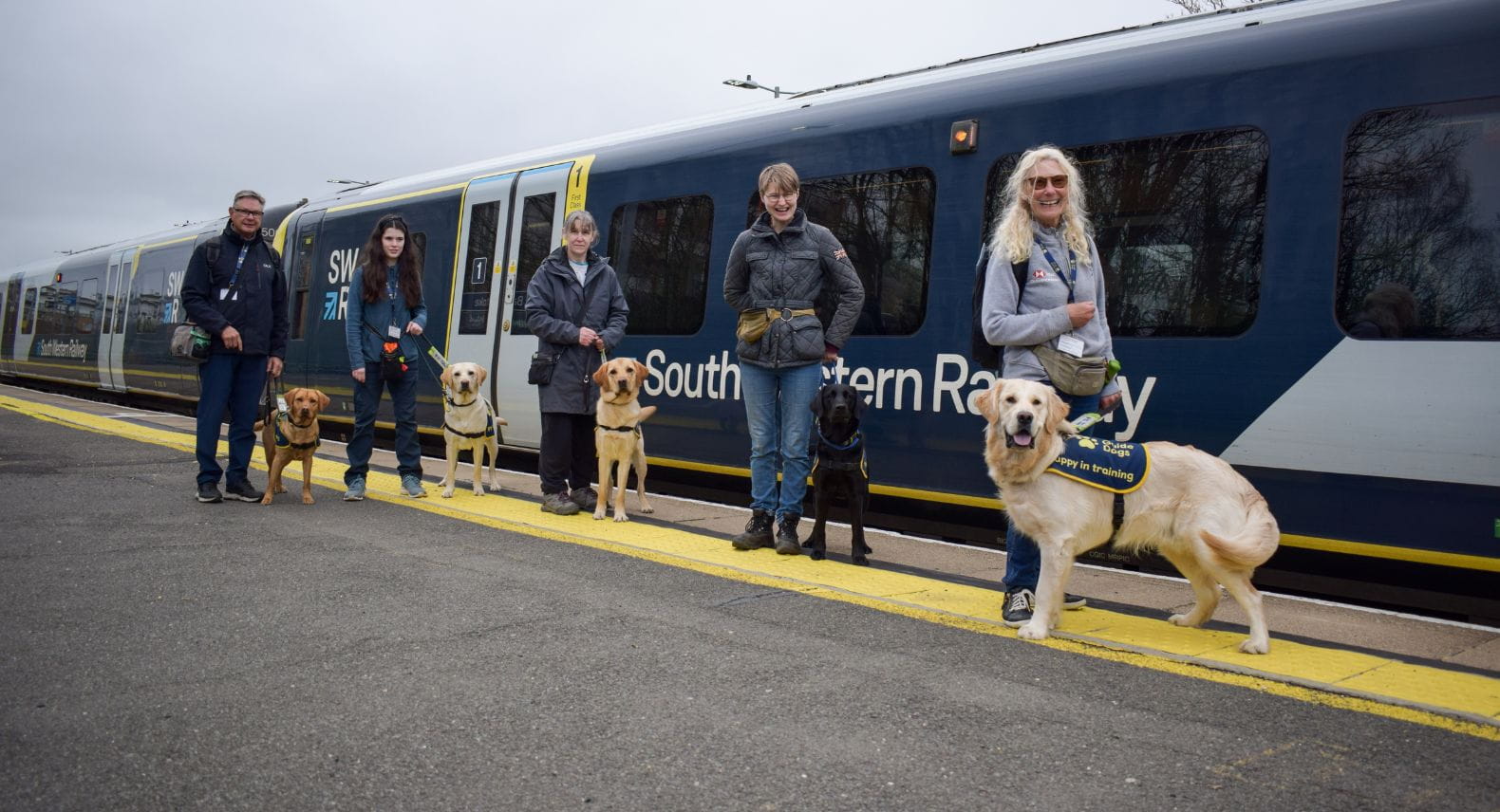 Guide dog puppy training