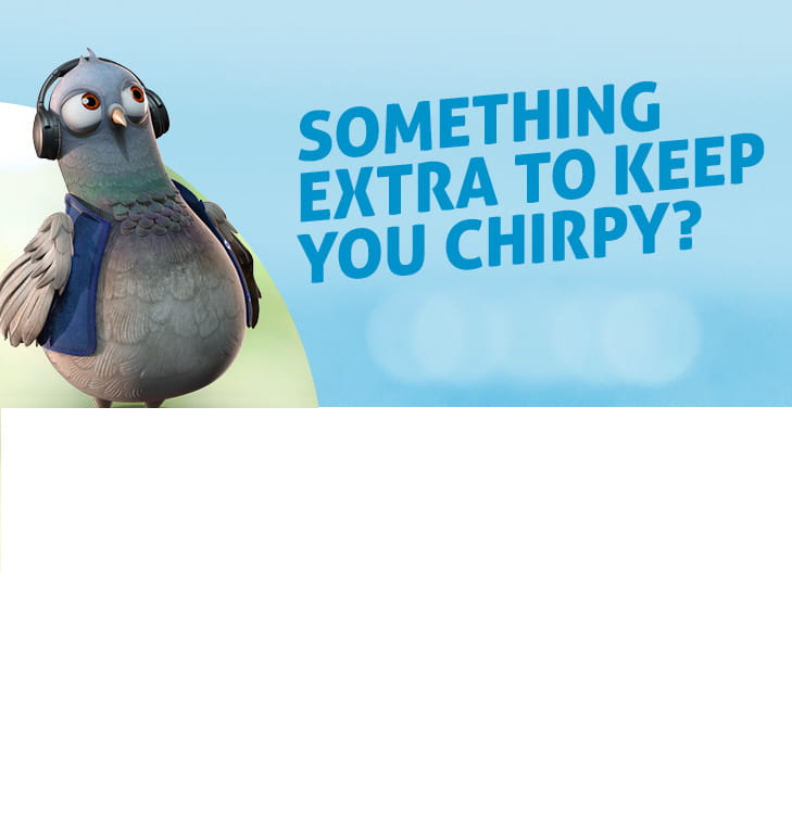 Trains to Weymouth | Tickets to Weymouth | South Western Railway