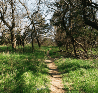 Celebrating NYE in the South West | South Western Railway